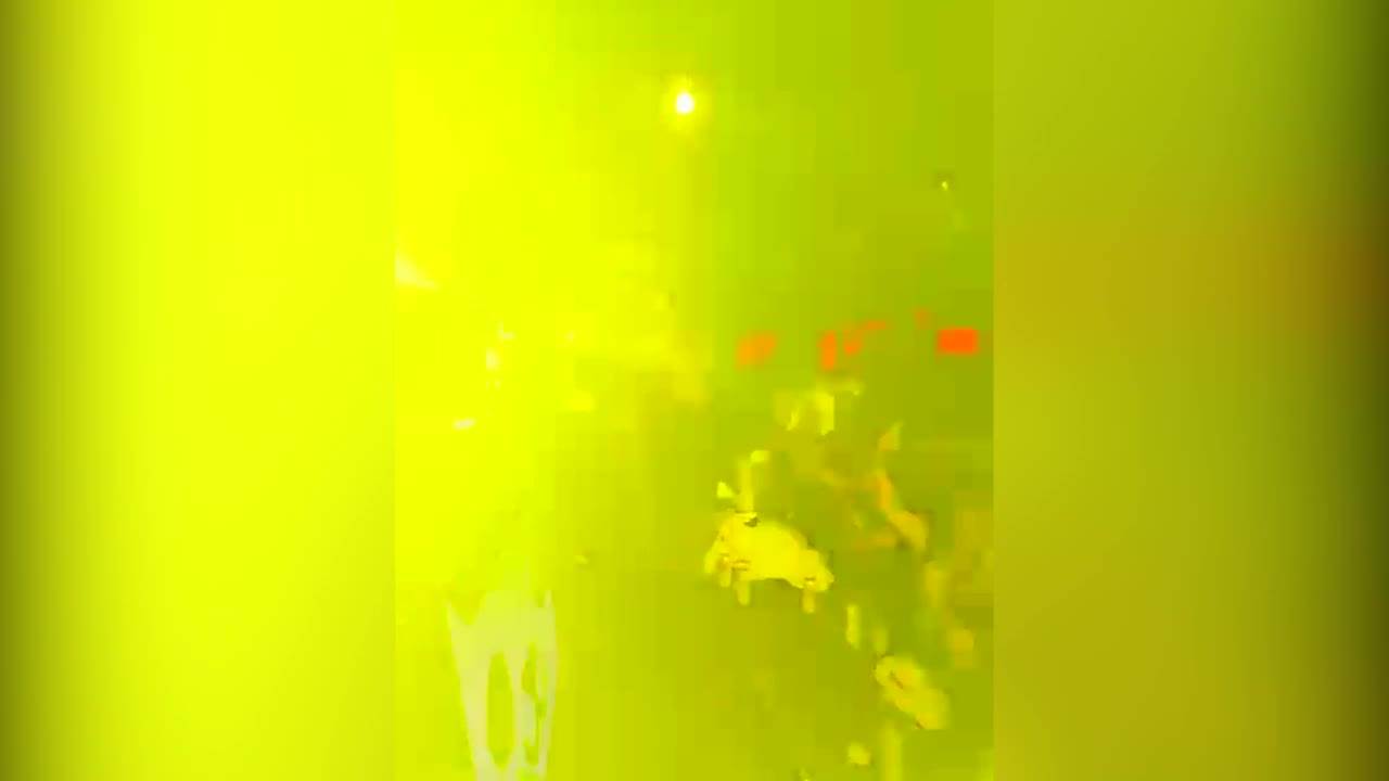 Goga Sekulić fanovima delila donji veš | Adriamedia TV