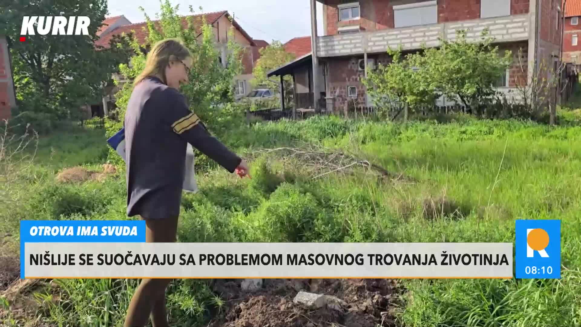 Roditelji, u parkovima vašoj deci preti ozbiljna opasnost! Male crvene ...