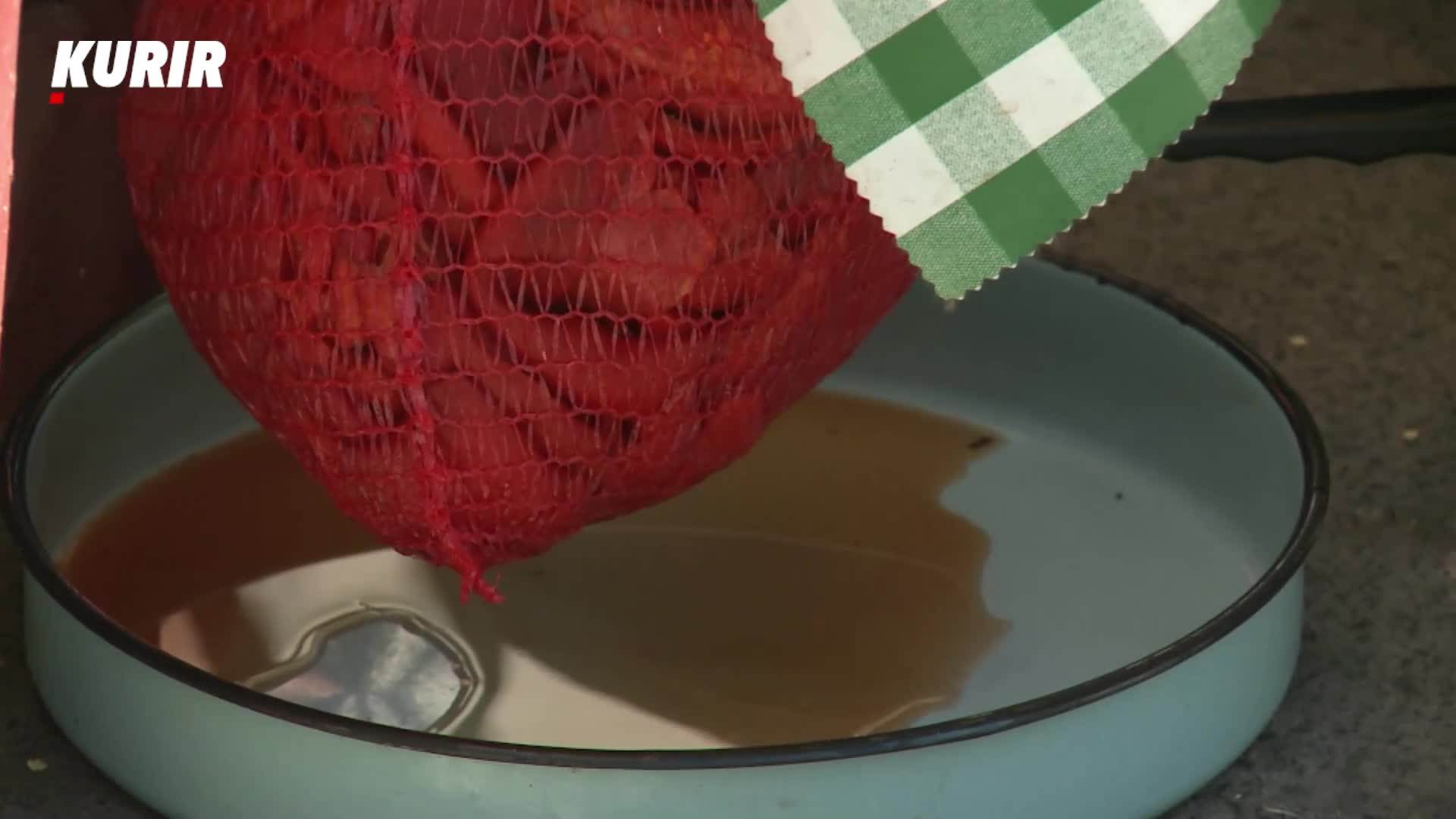 SRPSKE DOMAĆICE OTKRILE PRAVU MERU ZA SOČAN AJVAR! Kako su nas bake i ...