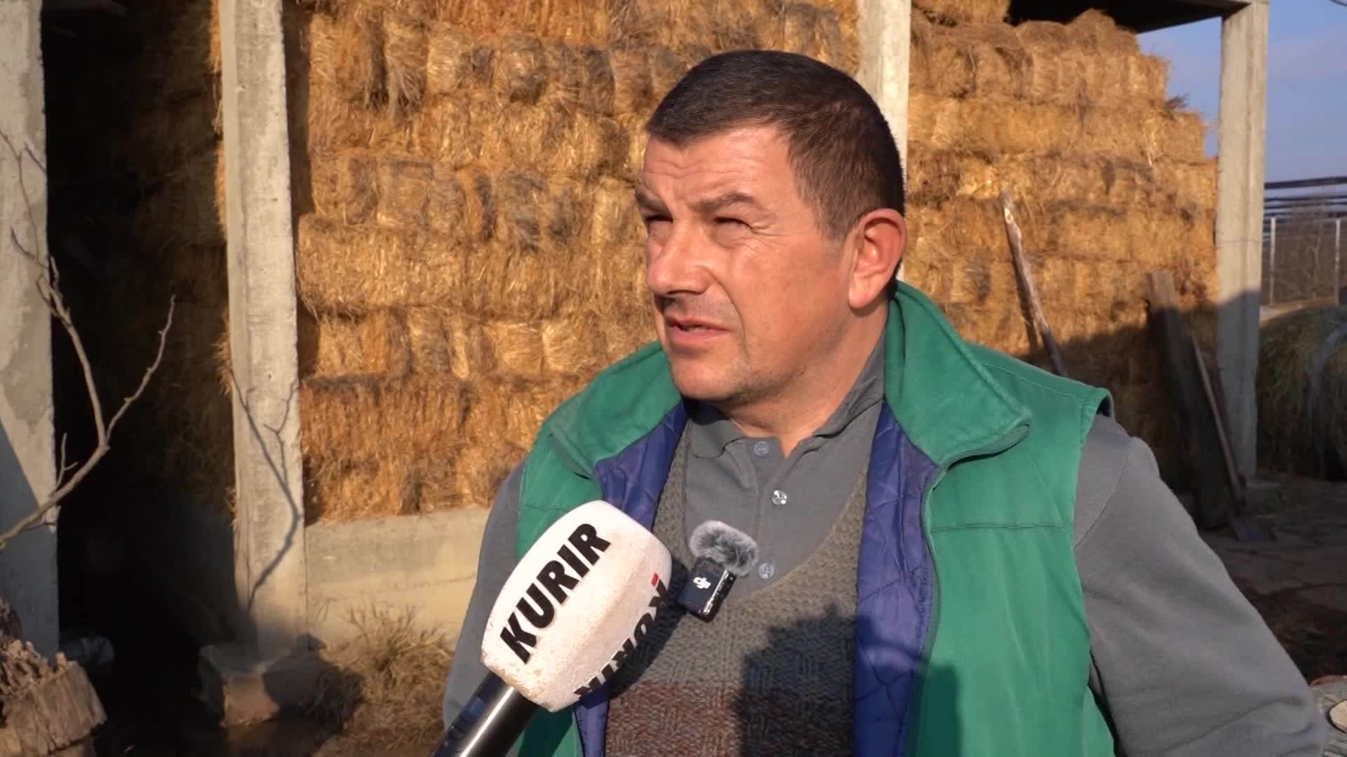 Kako je zima jednima donela probleme u gradovima, a drugima olakšanje ...