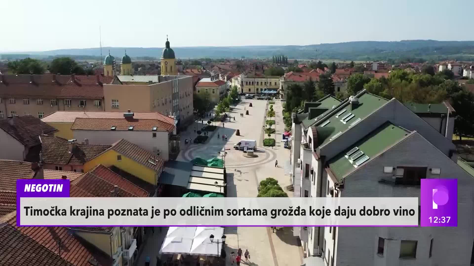 POZNAJEMO SRBIJU: Negotin, grad velikana, grad vina i bogate istorije ...