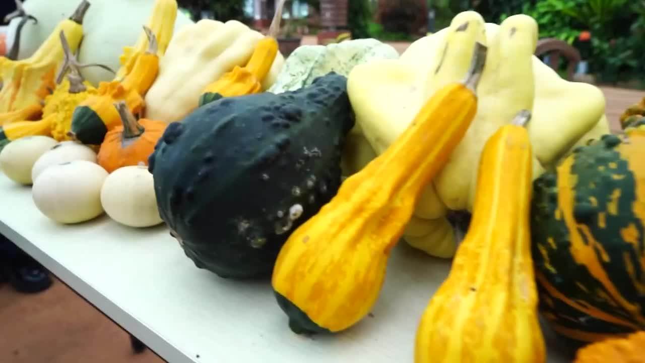 Seme povrća i voća iz svemira | Adriamedia TV