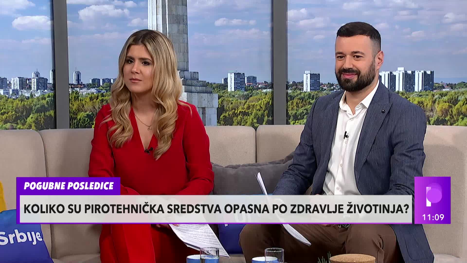 OD PETARDI STRADA 5.000 ŽIVOTINJA GODIŠNJE?! Aktivista: Nisu ugroženi ...
