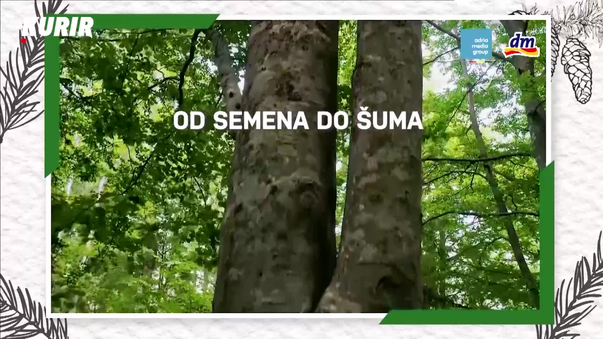 RAĐANJE I NOVI ŽIVOT: Ovo je priča o SETVI iz različitih krajevaSrbije ...