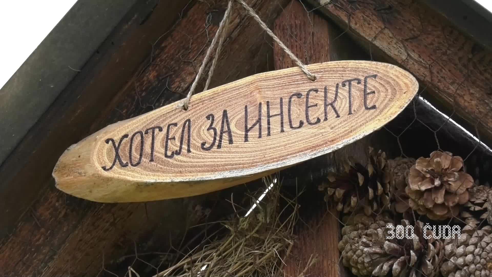 ČUDO U KRAGUJEVCU: OTVOREN HOTEL ZA INSEKTE! ČUDO U KRAGUJEVCU: OTVOREN HOTEL ZA INSEKTE!