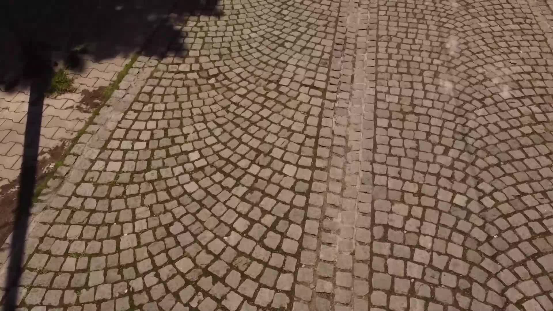 OVAJ GENERAL JE IZGRADIO PANČEVO! Književnik Nemanja Rotar: Pre njega ...