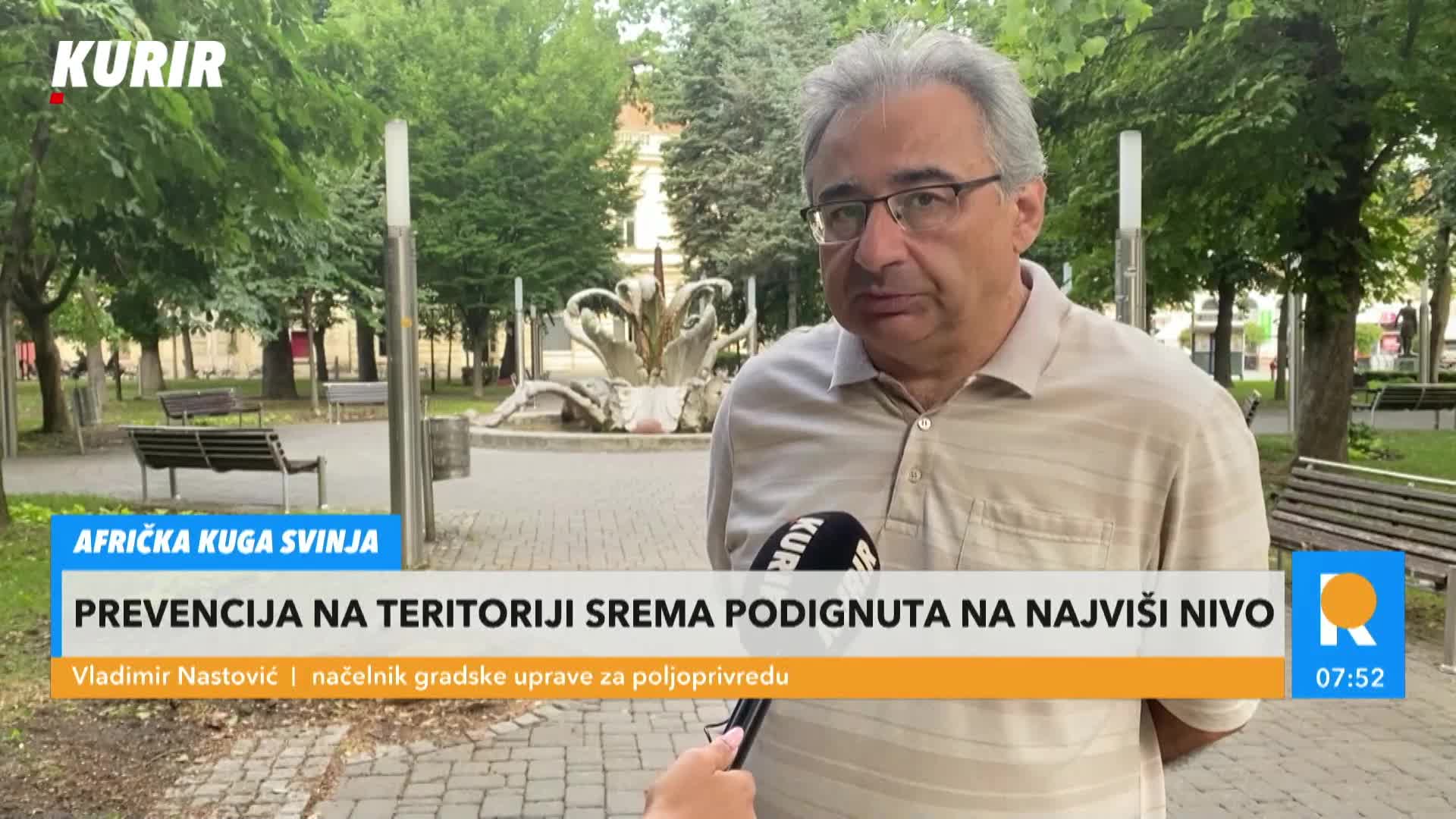 "AFRIČKA SVINJSKA KUGA SE PRIBLIŽAVA GRADU, NEMA LEKA NI PREVENCIJE ...