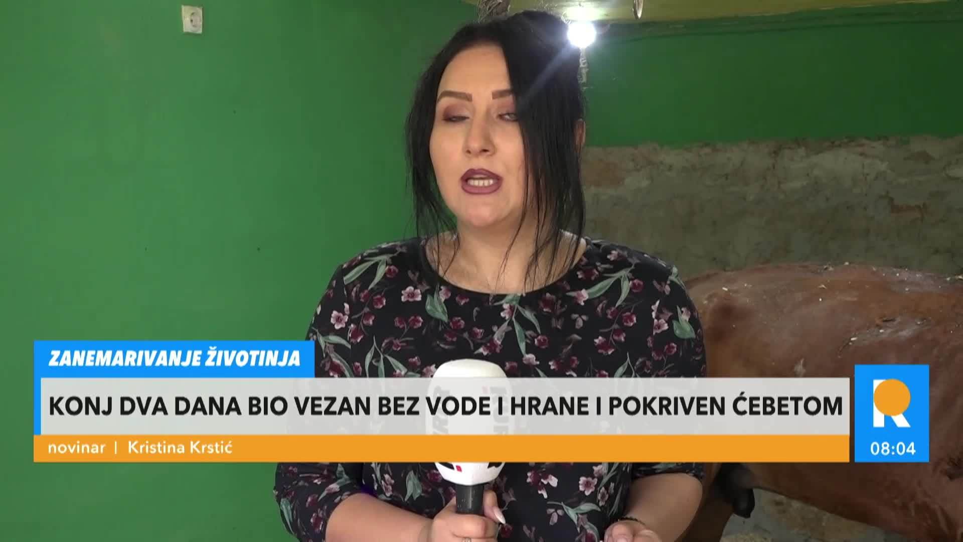 KONJ DANIMA BIO VEZAN NA AUTOBUSKOJ STANICI U NIŠU! Nađen u stanju iznemoglosti, njegovo stanje ...