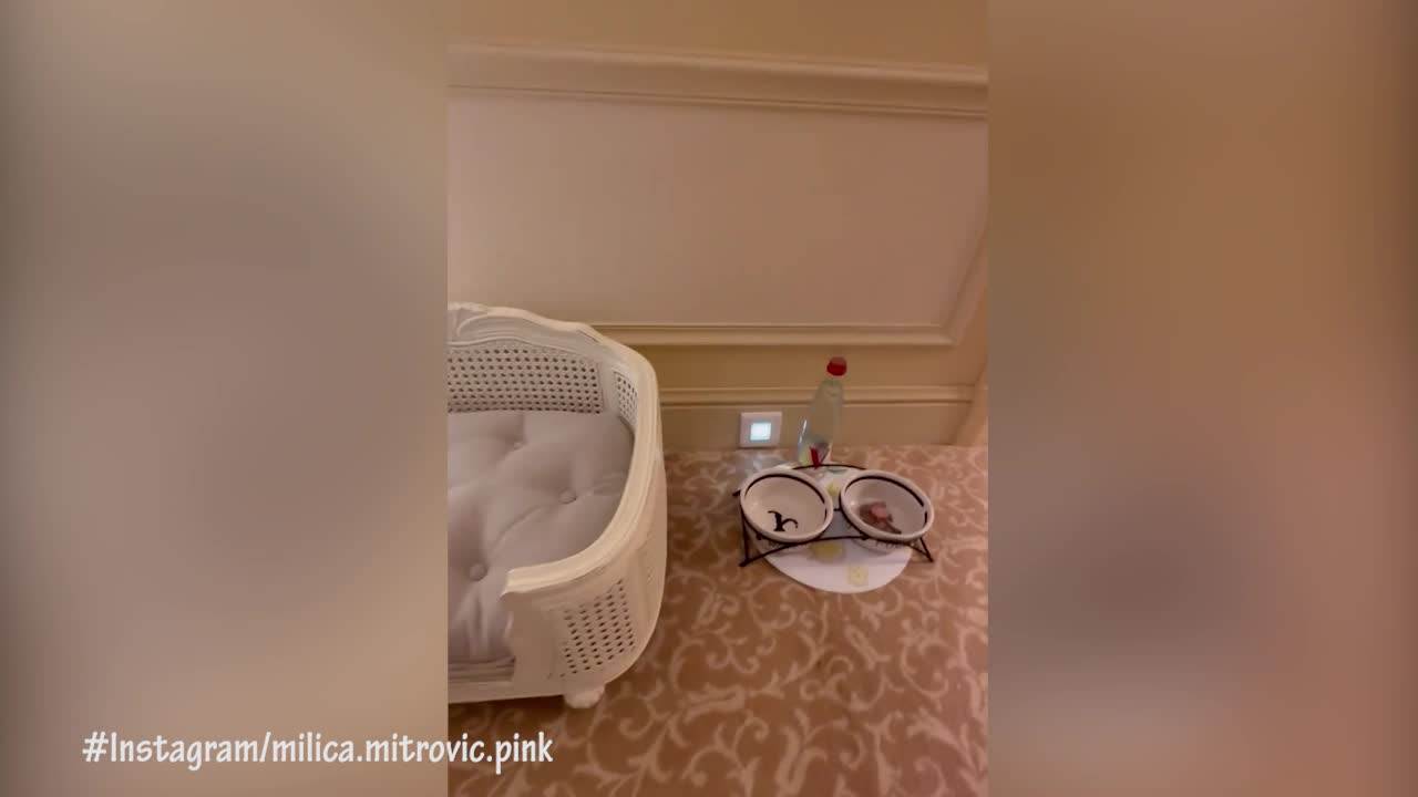 Pogledajte kakav kraljevski apartman ima Željko Mitrović u Set Tropeu ...