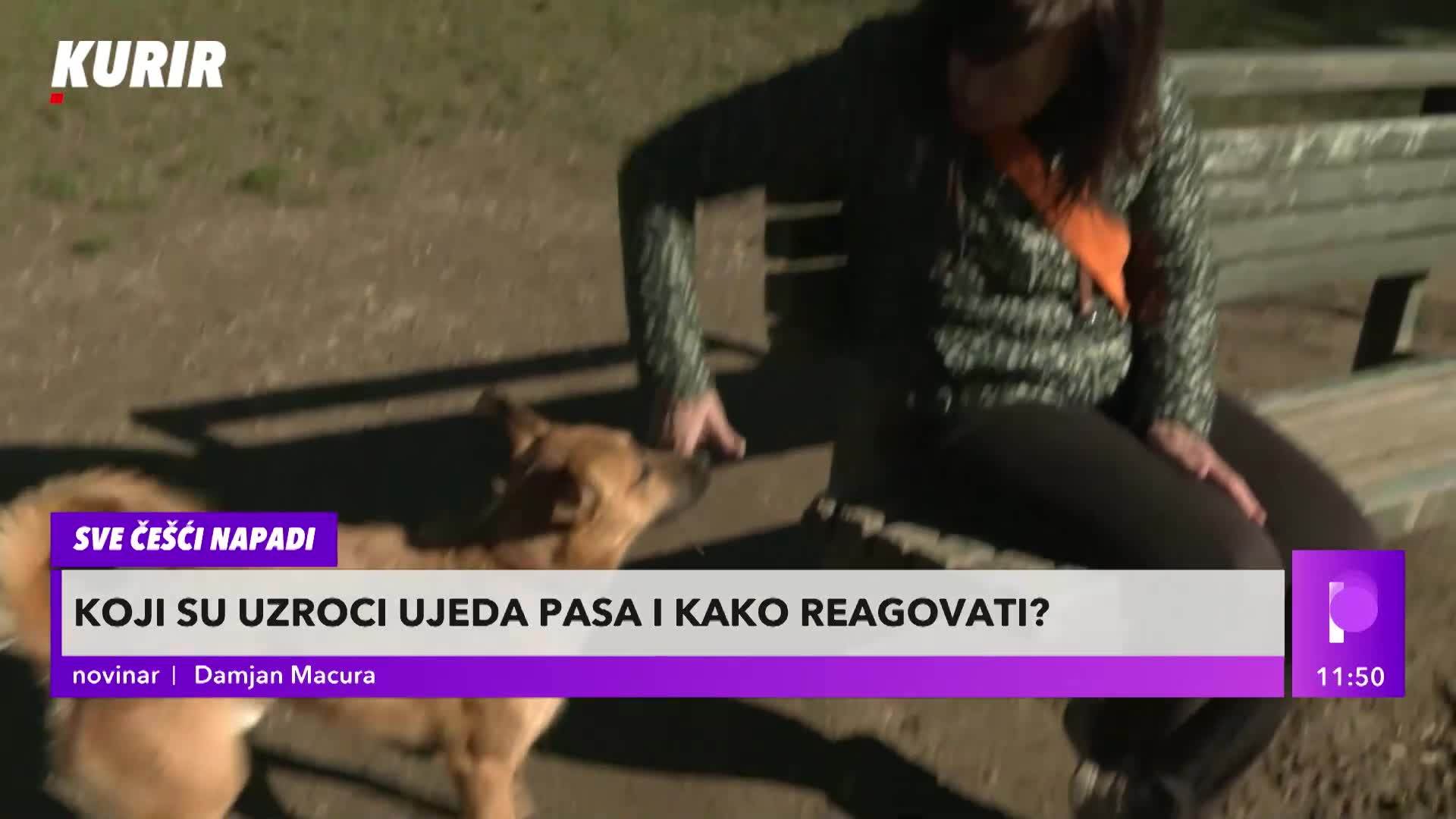 "NE OSTAVLJAJTE DETE SAMO SA PSOM!" Kinolog objašnjava ŠTA SU MOGUĆI ...