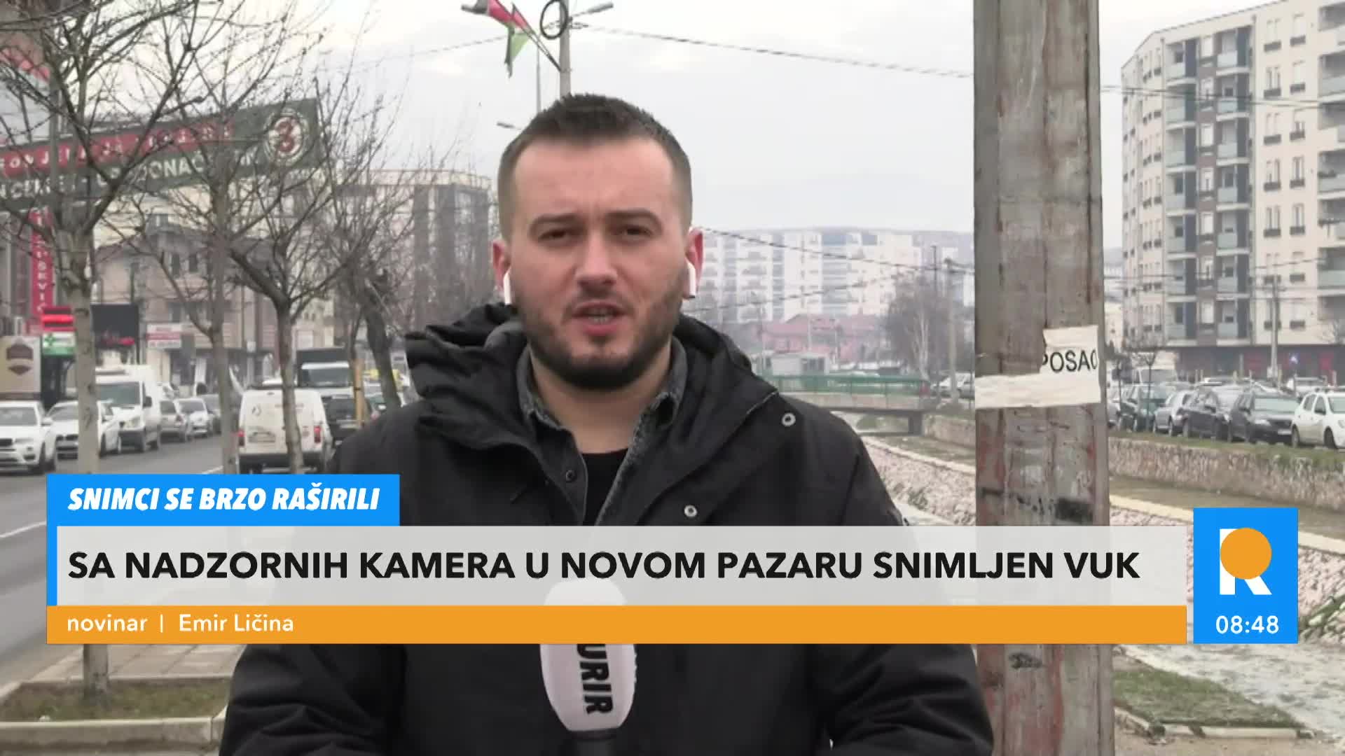 NE ZNA SE GDE JE VUK SNIMLJEN U SRED NOVOG PAZARA, GRAĐANI ZABRINUTI! Zoolog upozorava: Ako ga ...