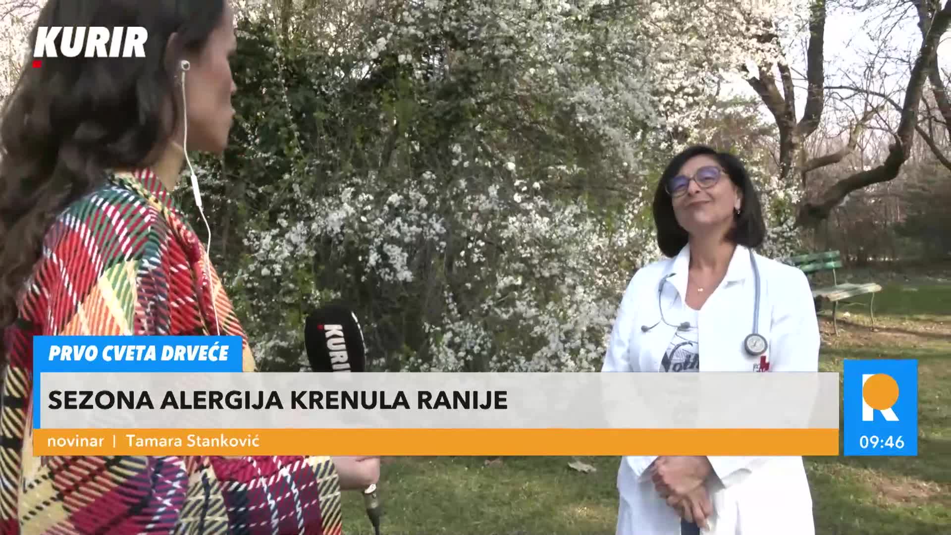 SVRAB, CURENJE IZ NOSA, KIJANJE! Zbog preranog cvetanja poranile i ...