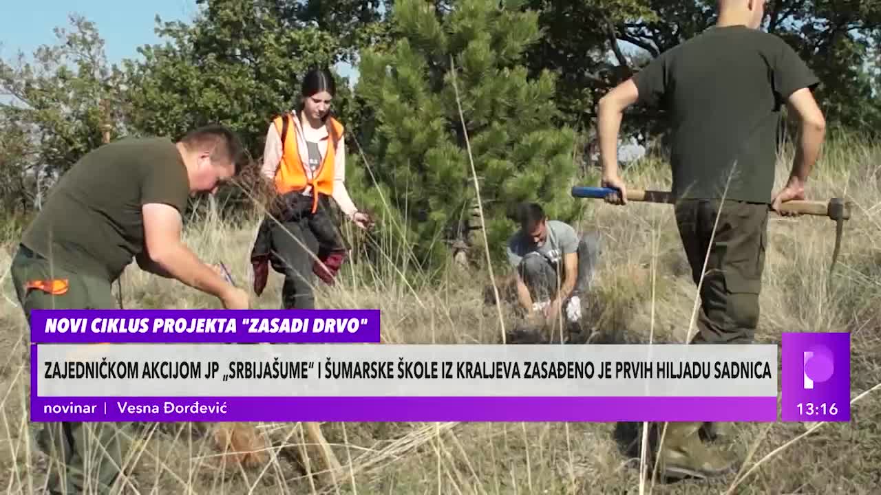 "POSADIĆEMO HILJADU SADNICA NA MESTU GDE JE BIO POŽAR KOD KRALJEVA" Akcija Zasadi drvo koju su ...